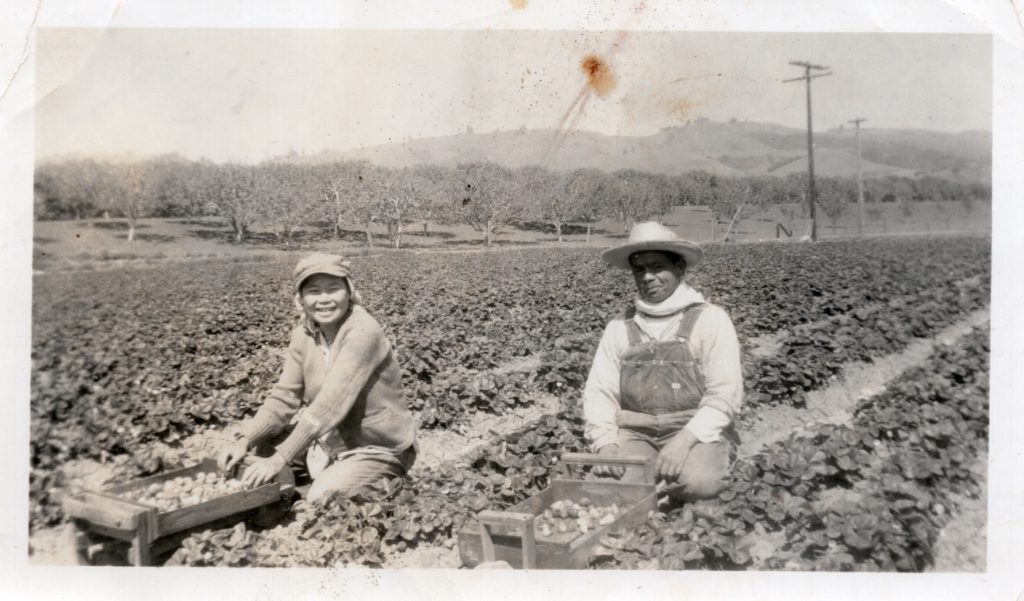 Watsonville is in the Heart: Mapping a Recuperative History of Filipino ...